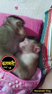 977K views · 8.4K reactions | पप्याला..झोपावला का ग..藍 #dubbing #voiceover #voiceactor #voice #voiceacting #doppiaggio #fandub #doppiaggioitaliano #madlipz #viral #animation #voicetalent #voiceoverartist #actor #voiceovertalent #doppiatoriitaliani #doppiatori #madlipzitalia #dub #voiceartist #doppiaggiocomico #madlipzita #memes #voiceovers #funny #funnymonkey #monkeyreels #funnyanimal #animalreels | karamati_vlog24 | Facebook