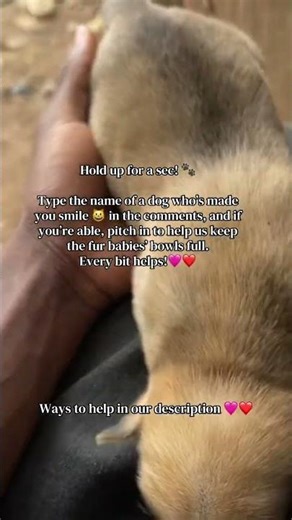 Your generosity brings hope and safety. Please donate via our PayPal link in bio and help ❤️