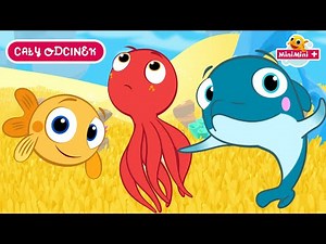 Rybka MiniMini uczy jak nie przeszkadzać 🐚🐬 | CAŁY ODCINEK | edukacyjne bajki dla dzieci | MiniMini+