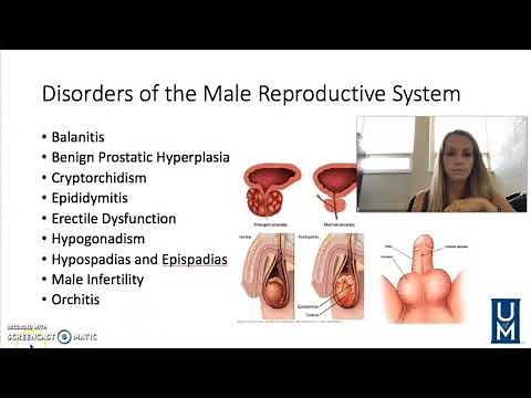 Disorders of the Male Reproductive System