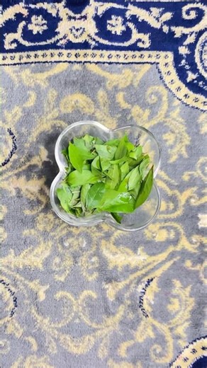 Natural Patti ☘️Mehandi 🤗#nehamehandi #mehndi #hennadesign #henna #mehandi