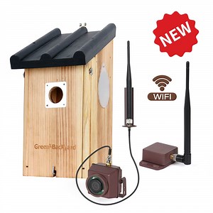 Bird Box Camera Long Range Wireless Bundle - Green Backyard