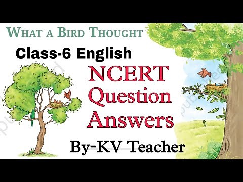 Question Answers ONLY/ What A Bird Thought/ Class-6 English NCERT Poorvi Unit-3 Chapter-2