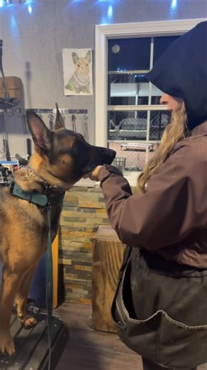 Justin Rigney | 💥REVERSE ENGINEERING💥 START AT THE END….. 🕵️‍♂️ identifying the finite behavior, establishing it with clear criteria and beginning a back... | Instagram