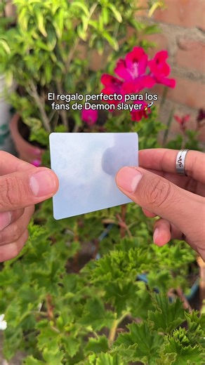 Lenticular 3D de Shinobu: Magia del Anime en Movimiento