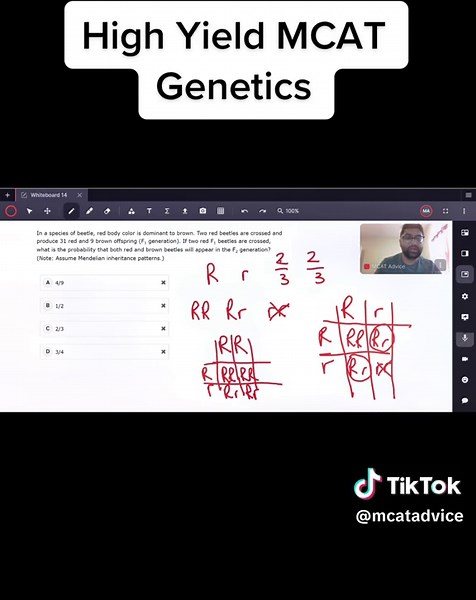 Understanding Genetics through Simplified MCAT Questions