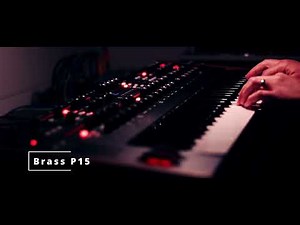 DSI Prophet 12 | The Xophen Soundbank, a bank of 99 patches including pads, leads, brass, FM bells