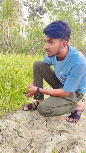 kheti badi sirf reel me achcha lagela asali mein jyada to gadiyan fat jai#funny #comedy #shortvideo