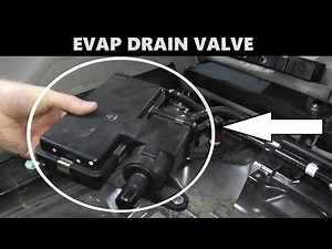 Subaru EVAP Drain Valve | P0447 P0448 P1443
