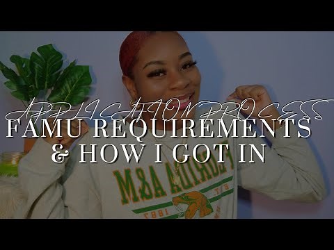 FAMUs Application/My scores & experience|| In-Depth w/tips🧡🐍 *long overdue*