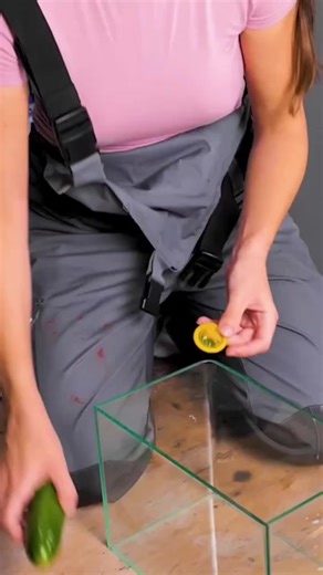 5-Minute Crafts You Need to Try Now