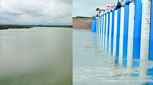 राजस्थान में ERCP का पहला बांध तैयार, आज से टेस्टिंग, जानें क्या है प्लान - ERCP First Dam