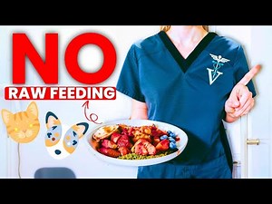 Raw Feeding Gone Wrong || Vet Explains the Hidden Risks