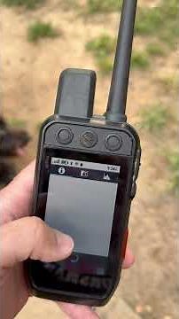 How to work the New GARMIN Alpha 300i and TT25 to record a hunt. #garmin #dogtracking
