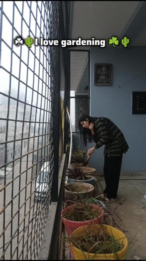 Elina on Instagram: "Comment for product link 🔗 Evereve Period Panty For Girls & Women, (L-XL), 10 Pcs, 360 Degree Coverage, 0% Leaks, High Absorbency For Heavy Flow, Maternity Delivery Pads, Postpartum & Overnight Protection, Disposable Panty @evereve_periodprotection Buy now from AMAZON 🛒 🛍️ Blinkit Zepto 😎👈 #evereve #evereveperiodprotection #womenhygiene #womenhygieneproducts #hygieneproducts"