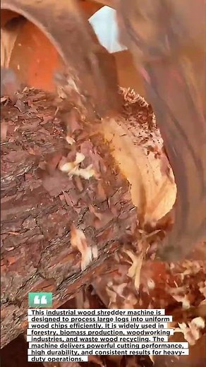 Extreme Wood Shredder Machine Turning Logs Into Chips | Satisfying Industrial Wood Processing