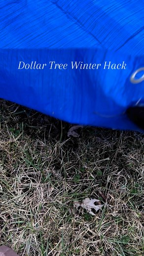 Dollar Tree Winter Hack #dollartreehacks #lifehacks #winter | Christina Holland