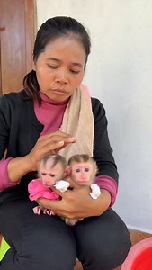 10K views · 42 reactions | Baby Monkey Rescue Foundation Every...