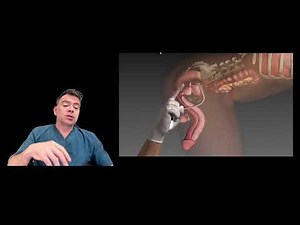 Chronic Prostatitis Treatment: A Holistic Approach with 8 Effective Methods.