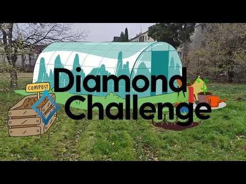 Micro Greenhouse 16, Diamond Challenge