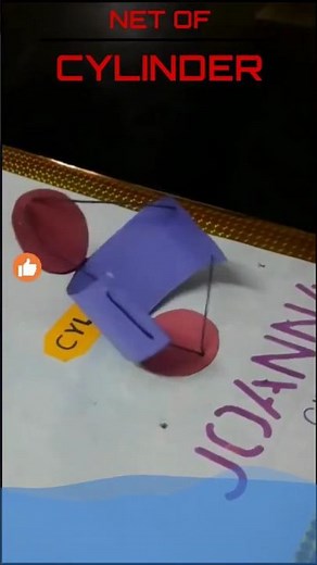 Net of a Cylinder Explained | 3D Pull-Up Model #maths