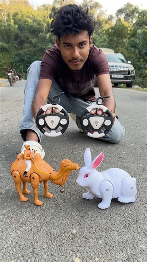 Remote Control Camel 🐫 & Rabbit 🐇 Unboxing