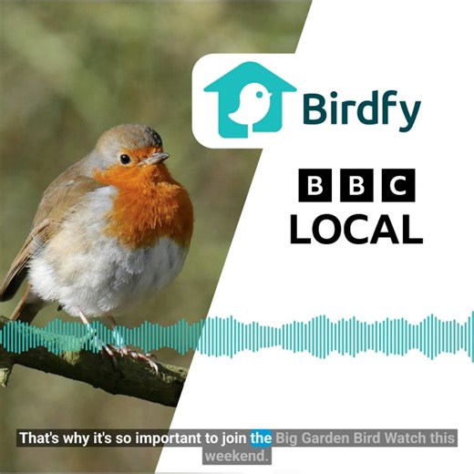 BBC Local Radio Evening Show_Birdfy_Spectogram