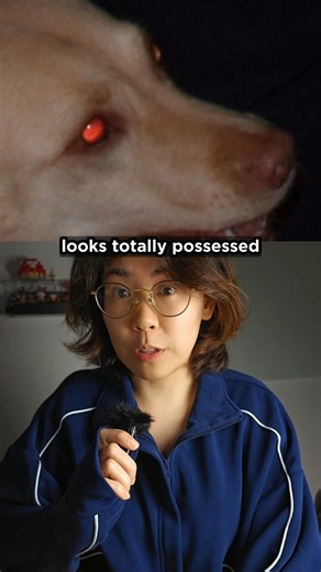 361K views · 16K reactions | The Secret Behind Red Eyes in Old...