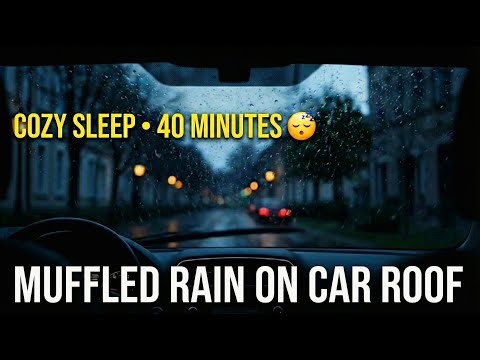 Rain on Car Roof Sounds for Sleep | Deep Muffled Rain Inside Car | 1 Hour Night Ambience