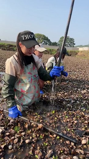 Oaiwai0_171 trên TikTok