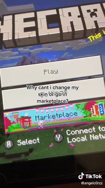 Minecraft Skins: How to Customize on Nintendo Switch