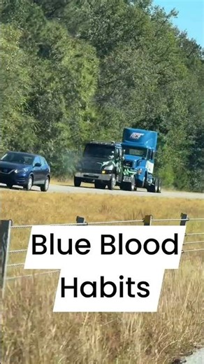 Blue blood habits