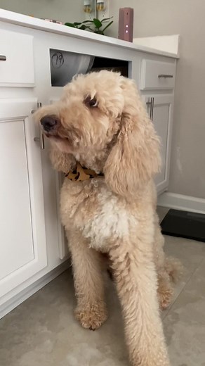 How to Install a False Drawer: Step-by-Step Guide