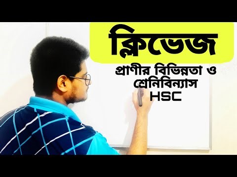 ক্লিভেজ ও ভ্রুনীয় বিকাশ | প্রাণীর বিভিন্নতা ও শ্রেনিবিন্যাস | Clear Concept | HSC Biology |