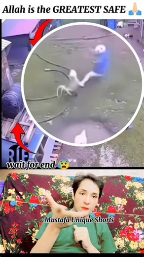 MashaAllah Greatest safe 🙏🏻#foryoupage❤️🫂#allah #hearttouching😭💔 #reels #mustafauniqueshorts
