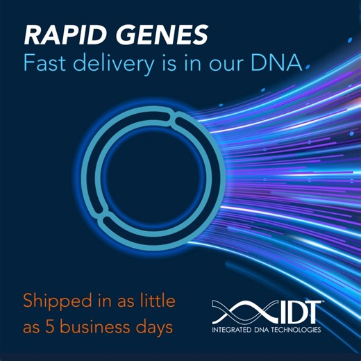 We’re thrilled to share our newly enhanced #genesynthesis offering! The benefits: More vectors Easy online vector onboarding Higher yields What’s not to love?  Learn more here: https://idtb.io/f6tmb4 | Integrated DNA Technologies | Facebook