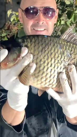 Grilling fresh carp over an open fire #food