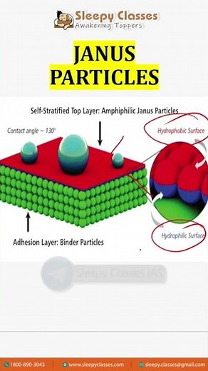 All About the Janus Particle