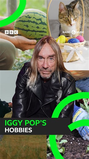 BBC Radio 6 Music on Instagram: "Iggy Pop shares some of his childhood hobbies 🌱 Listen to Iggy every Sunday at 4PM, or back on BBC Sounds 🎧"