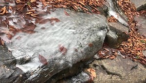 2.5K views · 179 reactions | Technical problems have prevented me from doing the weather this morning... So instead I will post this relaxing video I recorded of water dripping through ice.... Enjoy, and wish me better luck tomorrow!!! | Meteorologist Nick Johnston | Facebook