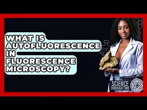 What Is Autofluorescence In Fluorescence Microscopy? - Science Through Time