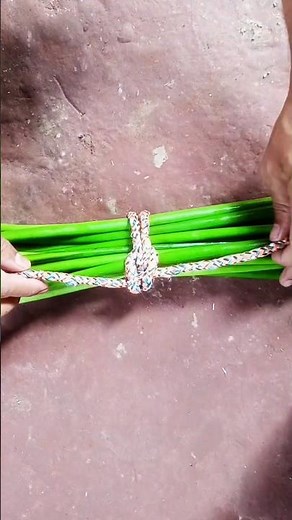 The Ultimate Rope Knot For Grass!!