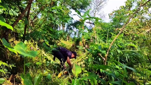 camping bushcraft hujan deras #solocamping #buscraft #berkemahdihutansendirian #camping #buscraft