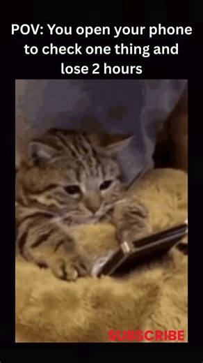 Lost in the Scroll📱😹 #doomscrolling #funnycats #memes #pov #relatable #scrolling #trending #viral