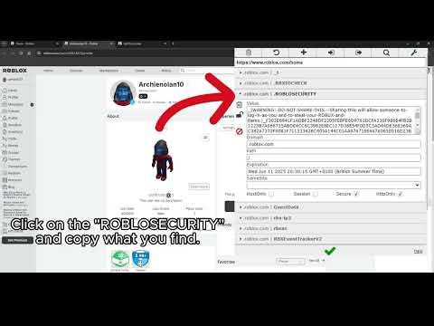 ROBLOX 2025 WORKING Cookie logger method