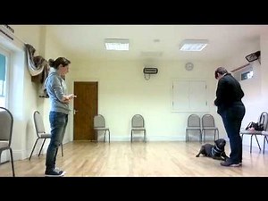 Dog training: Buddie the staffy x labrador