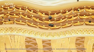 NowMi Lab STORM #漩渦三相塑顏棒，以漩渦電流技術提拉輪廓，再利用光熱增生肌膚骨膠原，再以多重紅光改善膚色。...