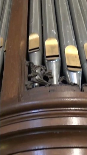 PERGOLESI STABATMATER #willemvantwillert HIST. ORGAN Bellingwolde NL
