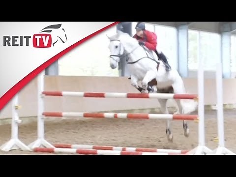 Springreiten lernen: Den richtigen Absprungpunkt finden