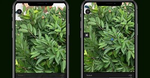 Adobe Lightroom's new Texture tool enhances individual details without impacting your entire photo - 9to5Mac